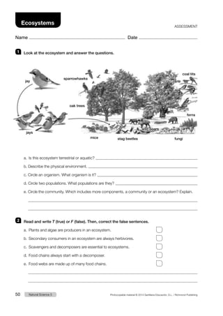 U.4 naturales-ecosystem 5 | PDF