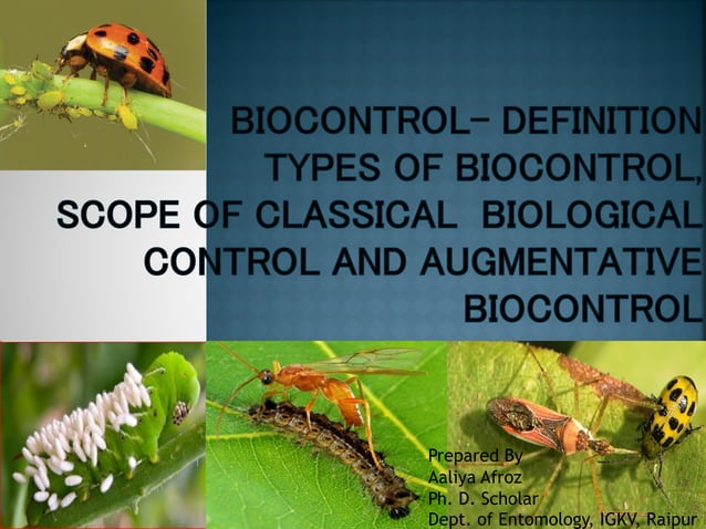 Introduction to Biological Control of Insect Pests | PDF | Beekeeping ...