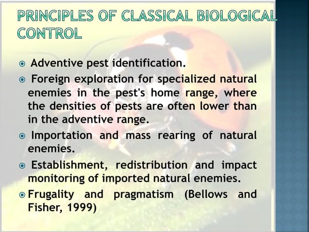Introduction to Biological Control of Insect Pests | PDF | Beekeeping ...