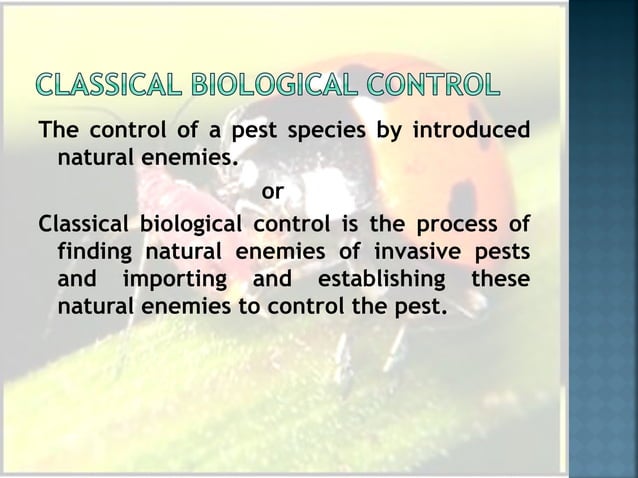 Introduction to Biological Control of Insect Pests | PDF | Beekeeping ...