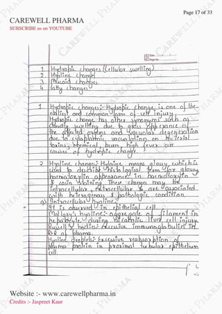 U-1, PATHOPHYSIOLOGY-1, CAREWELL PHARMA.pdf | Lung and Respiratory ...