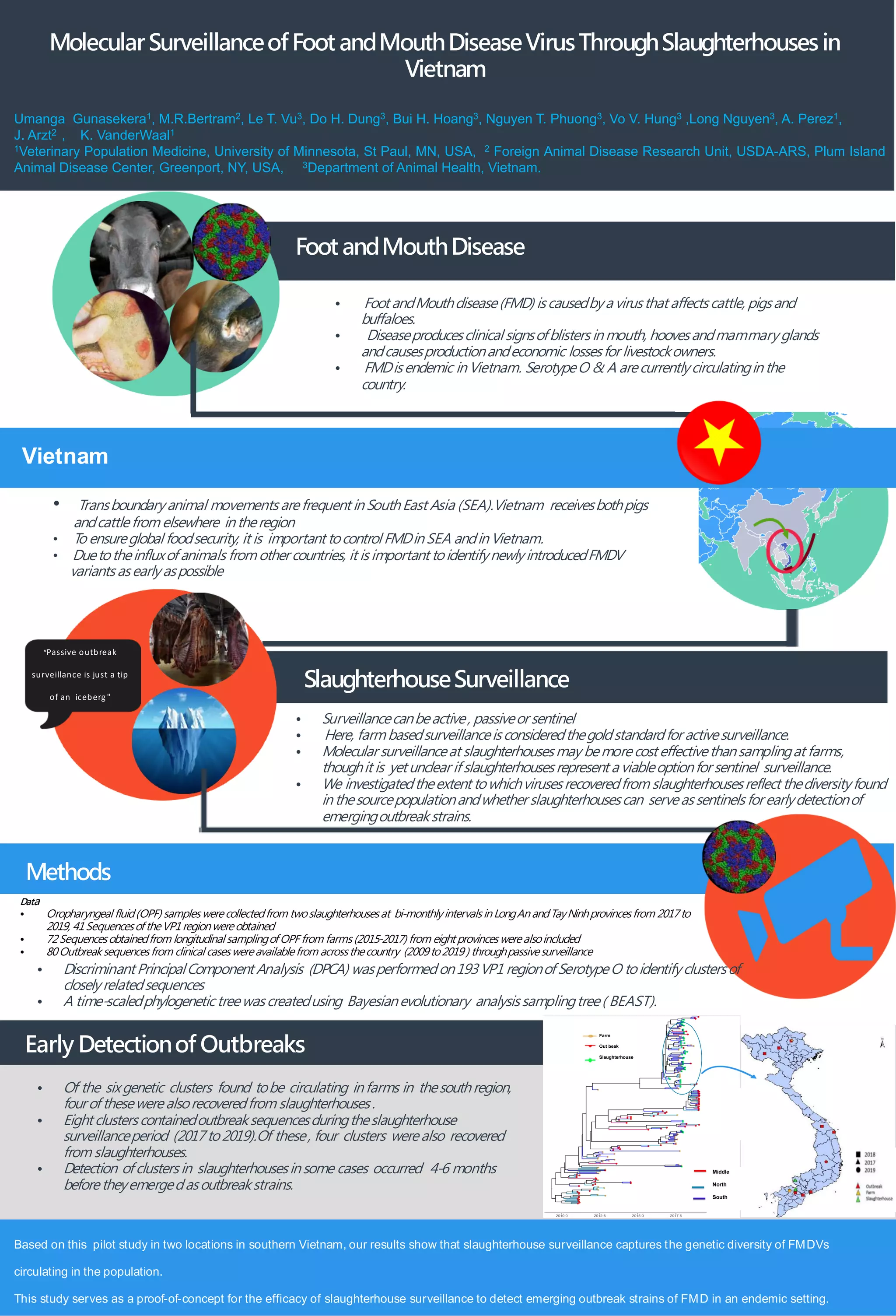MOLECULAR SURVEILLANCE OF FOOT AND MOUTH DISEASE VIRUS THROUGH ...