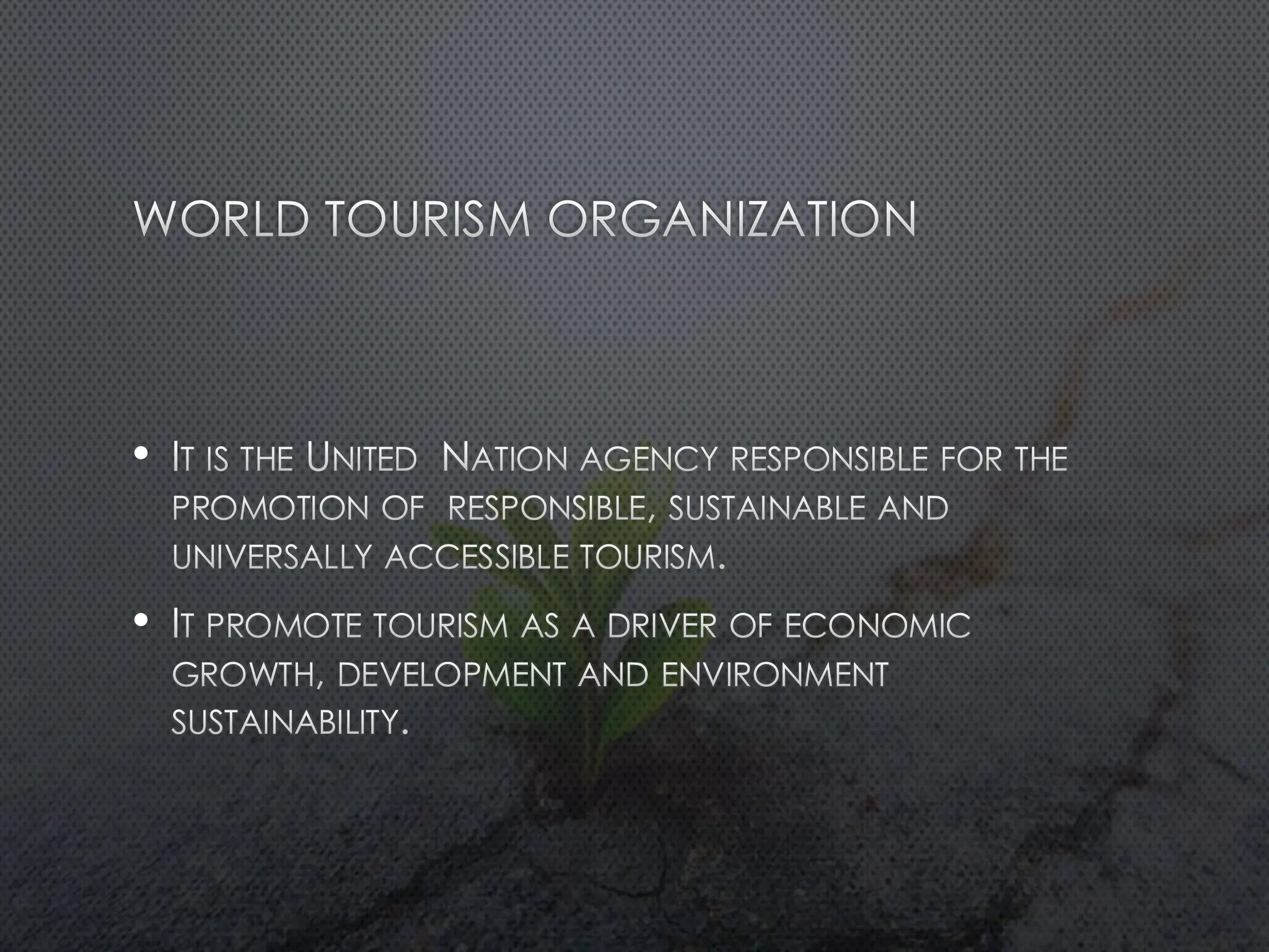 United Nations World Tourism Organization.pdf
