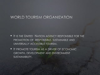 United Nations World Tourism Organization.pdf