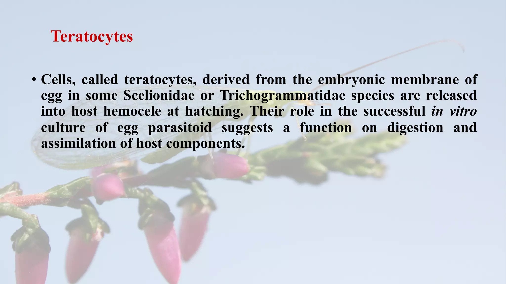 Nutrition of Entomophagous Insect and their Host | PDF