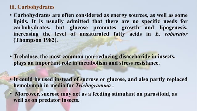 Nutrition of Entomophagous Insect and their Host | PDF | Endocrine and ...