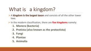 U-5-Classification.pptx
