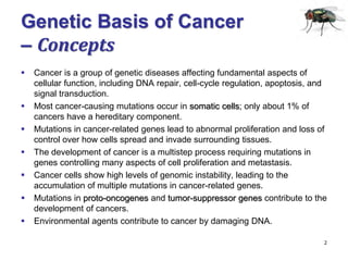 Cancer Genetics and biological processes | PDF