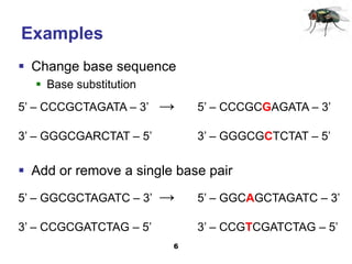 Cancer Genetics and biological processes | PDF