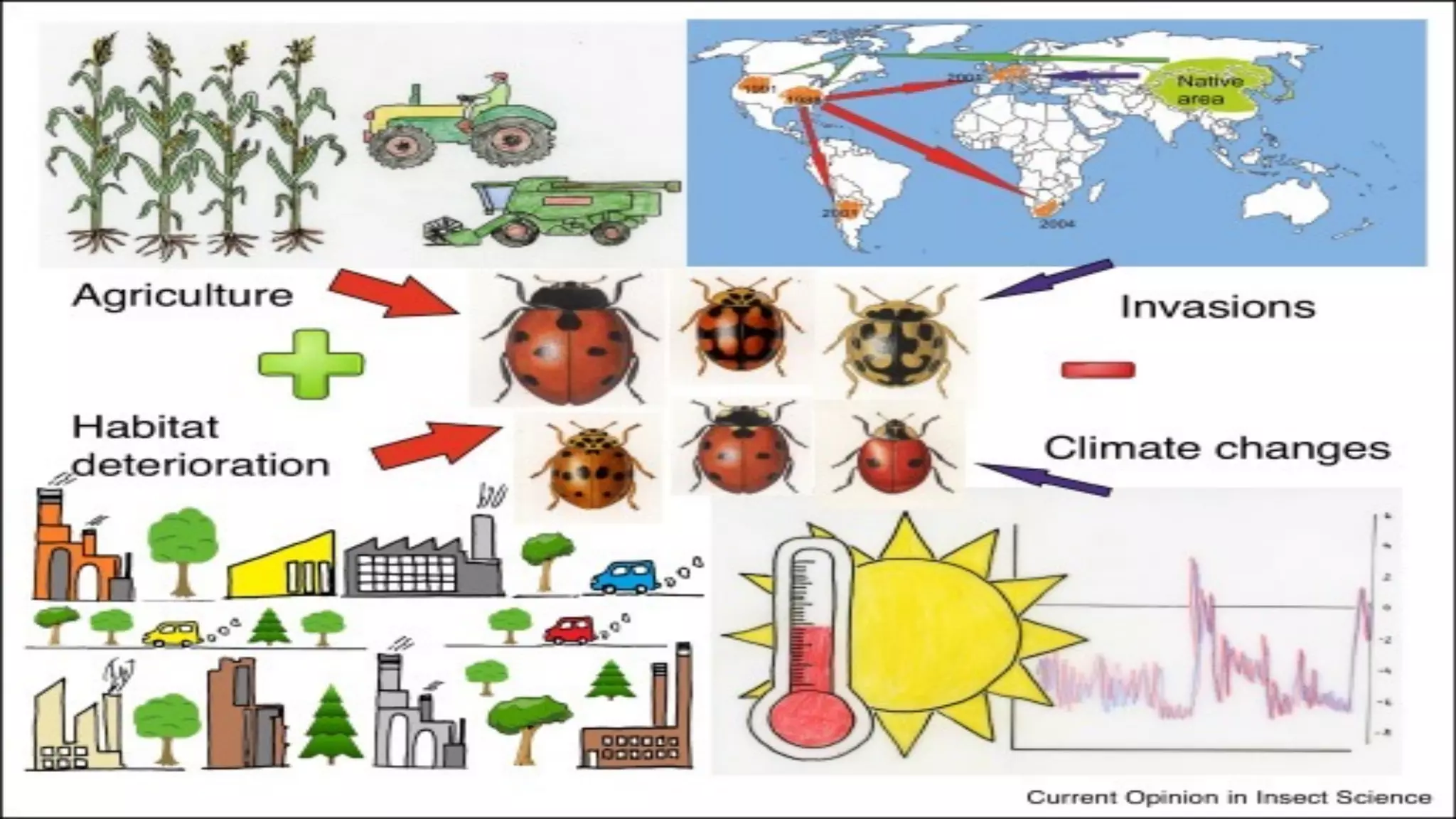 Colonization of Natural Enemies, Techniques of Release of Natural ...