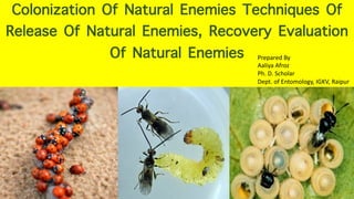 Colonization of Natural Enemies, Techniques of Release of Natural ...