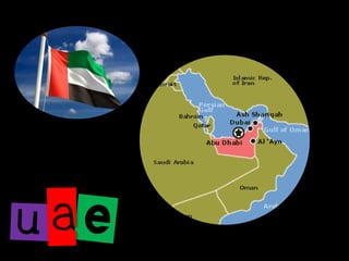 Communications in the United Arab Emirates | PDF