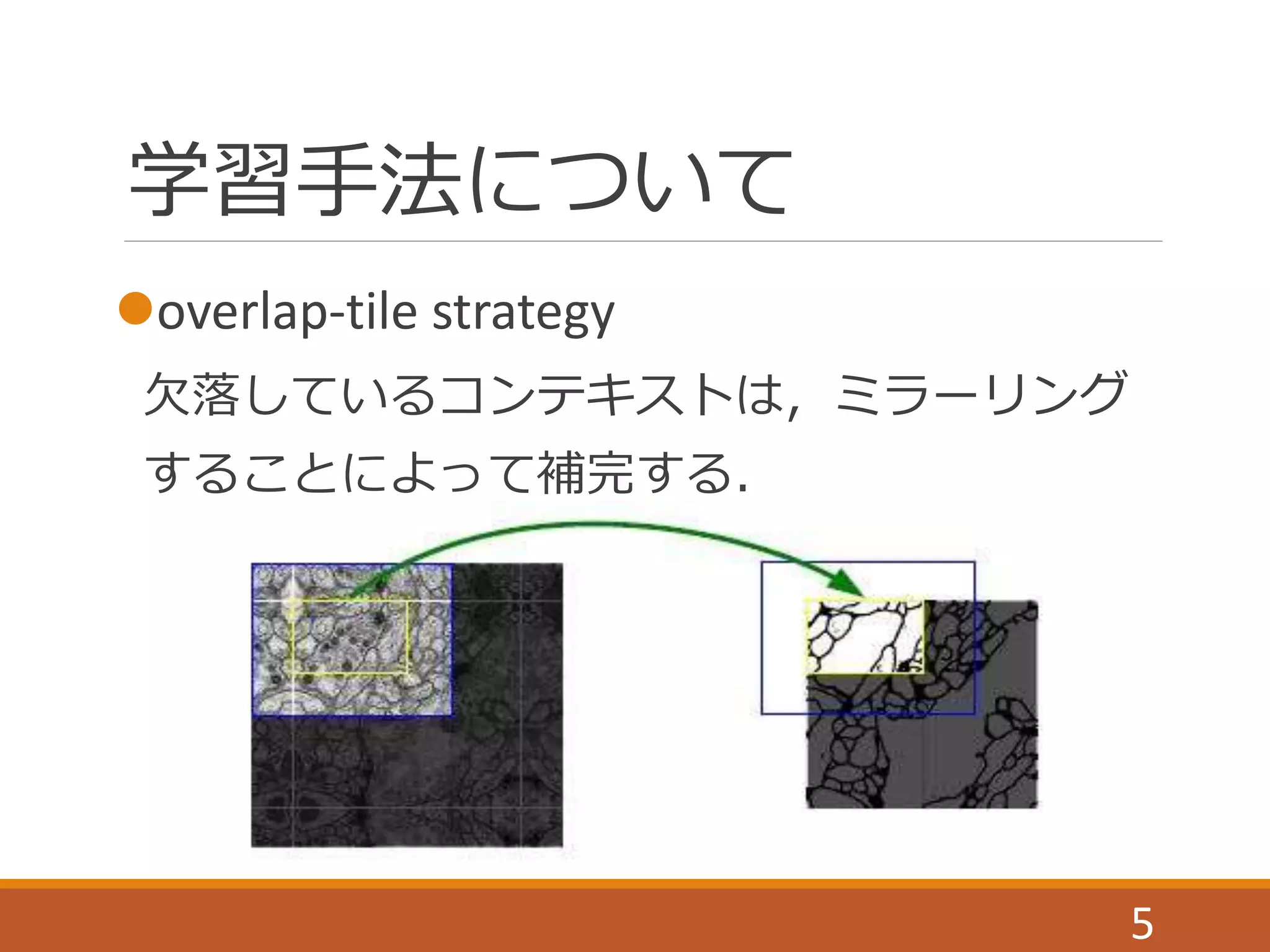 U Net Convolutional Networks For Biomedical Image Segmentationの紹介 Ppt