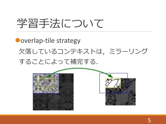U Net Convolutional Networks For Biomedical Image Segmentationの紹介 Ppt