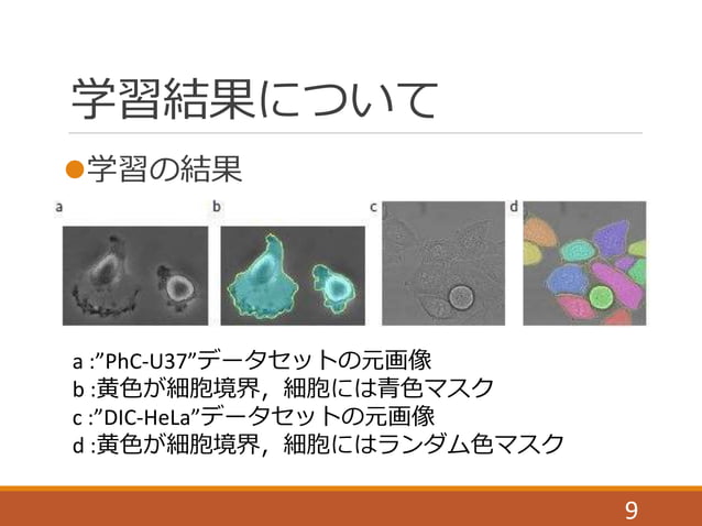 U-Net: Convolutional Networks for Biomedical Image Segmentationの紹介 | PPTX | Science
