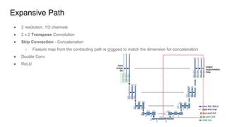 U-Net (1).pptx