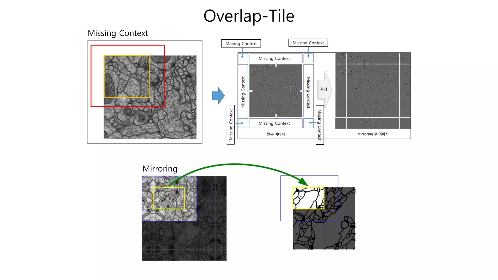 U Net Convolutional Networks For Biomedical Image Segmentation Ppt