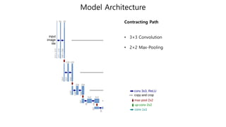 U-Net: Convolutional Networks for Biomedical Image Segmentation | PDF