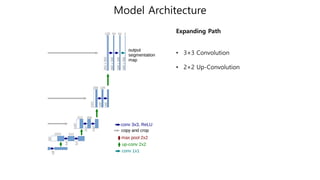 U-Net: Convolutional Networks for Biomedical Image Segmentation | PDF