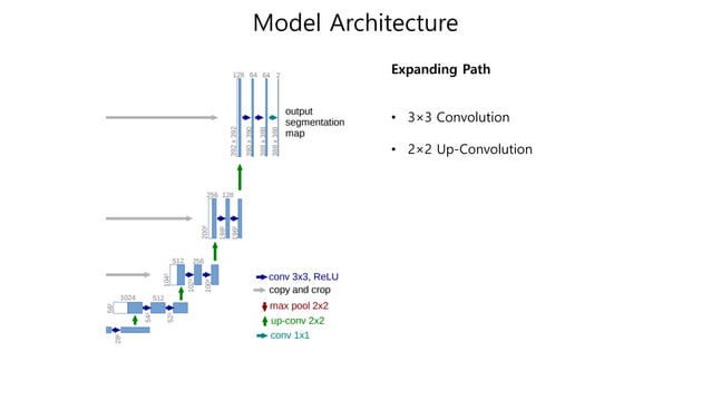 U-Net: Convolutional Networks for Biomedical Image Segmentation | PDF