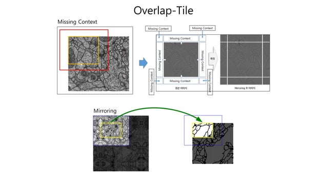 U-Net: Convolutional Networks for Biomedical Image Segmentation | PDF