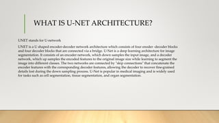 U-Netpresentation.pptx