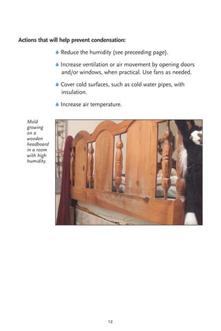 EPA Mold Guide | PDF | Lung and Respiratory Health | Diseases and ...