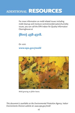 EPA Mold Guide | PDF | Lung and Respiratory Health | Diseases and ...