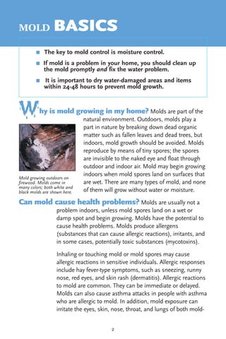 EPA Mold Guide | PDF | Lung and Respiratory Health | Diseases and ...