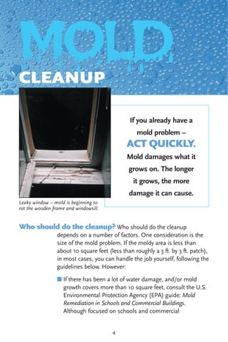 EPA Mold Guide | PDF