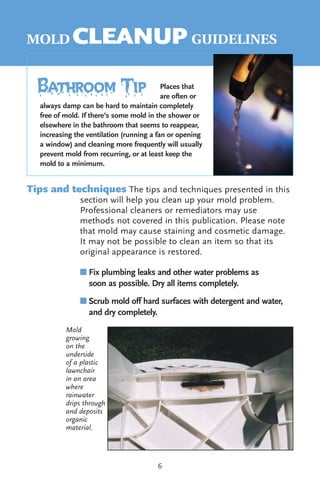 EPA Mold Guide | PDF