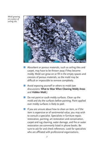 EPA Mold Guide | PDF | Lung and Respiratory Health | Diseases and ...