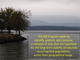 U.S. IBA Program 16 Mar2009 | PPT