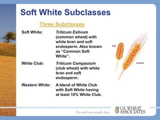 U.S. Wheat Classes and Applications July 2010 | PPT
