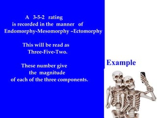 U tube -somatotyping -1st part final | PPT