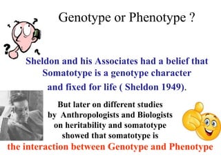 U tube -somatotyping -1st part final | PPT