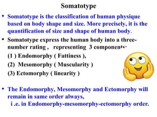 U tube -somatotyping -1st part final | PPT