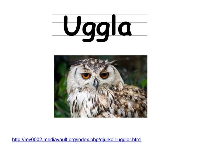 U ugglan | PPT