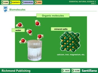 U01 Basis Of Life | PPT