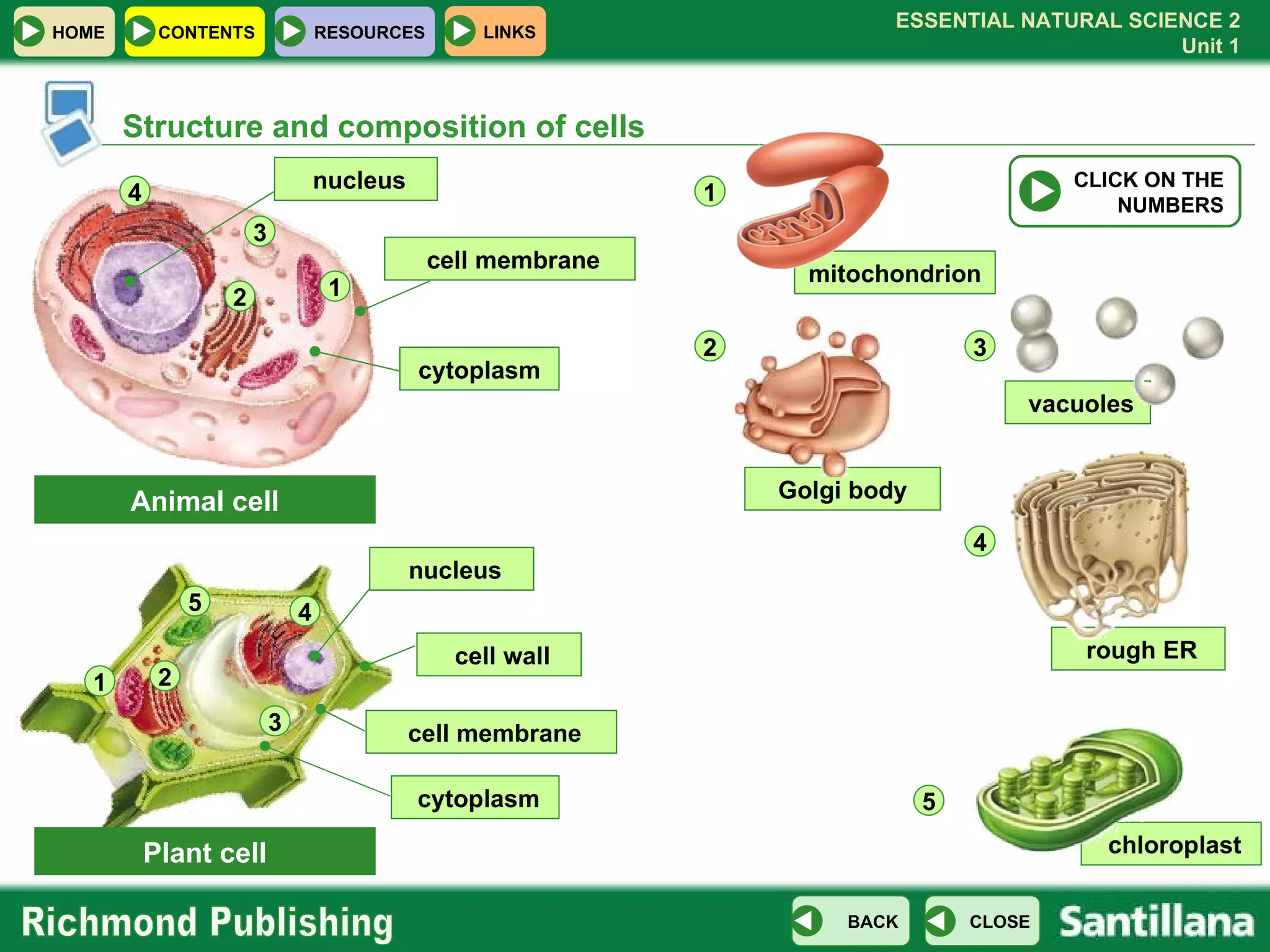 U01 Basis Of Life | PPT