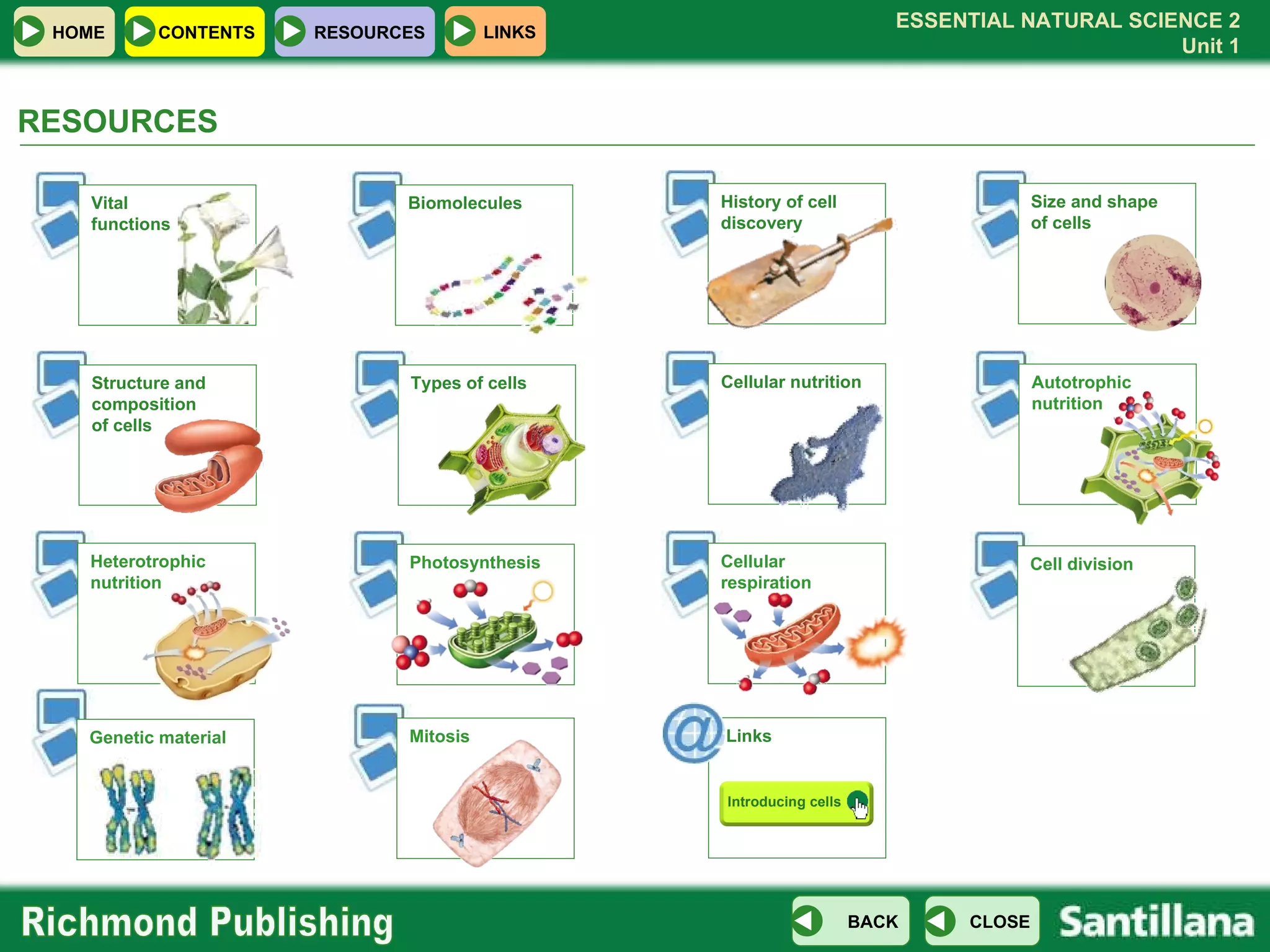 U01 Basis Of Life | PPT