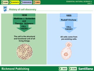 U01 Basis Of Life | PPT