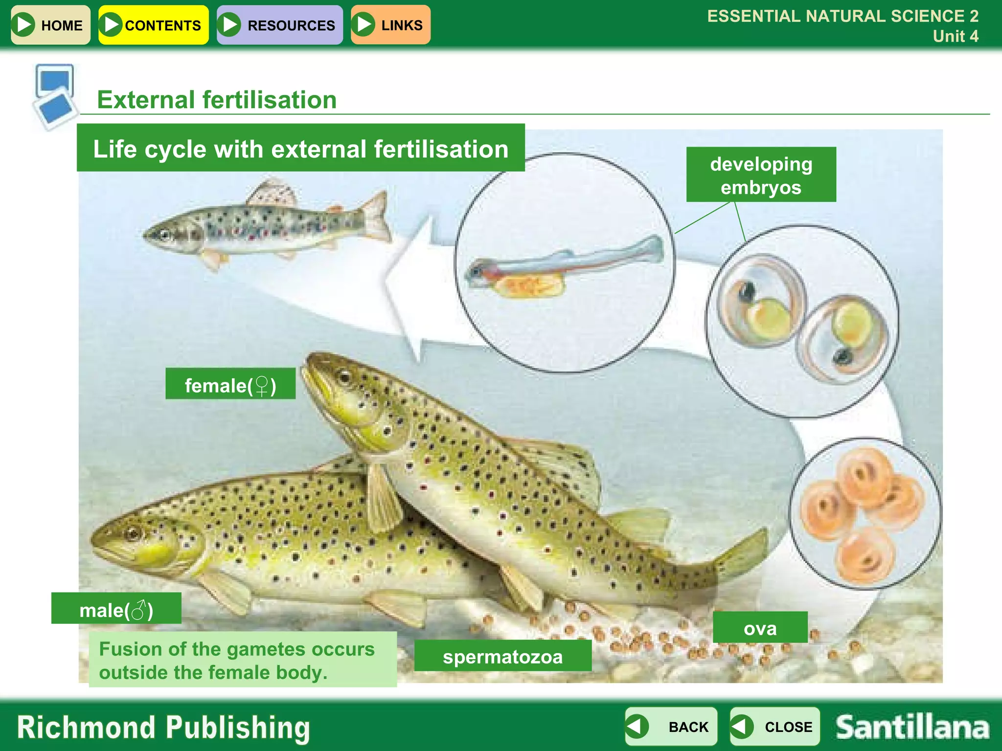 U04 Reproduction | PPT