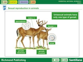 U04 Reproduction | PPT