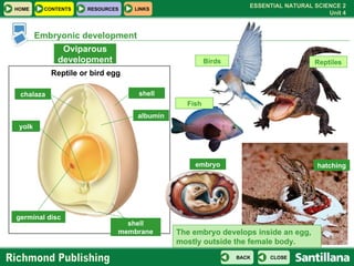 U04 Reproduction | PPT
