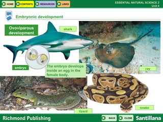 U04 Reproduction | PPT