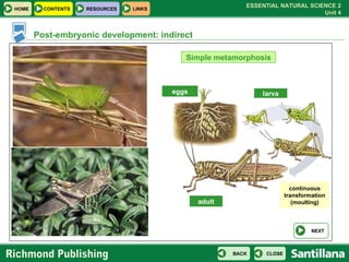 U04 Reproduction | PPT