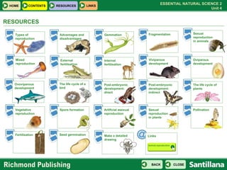 U04 Reproduction | PPT