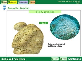 U04 Reproduction | PPT