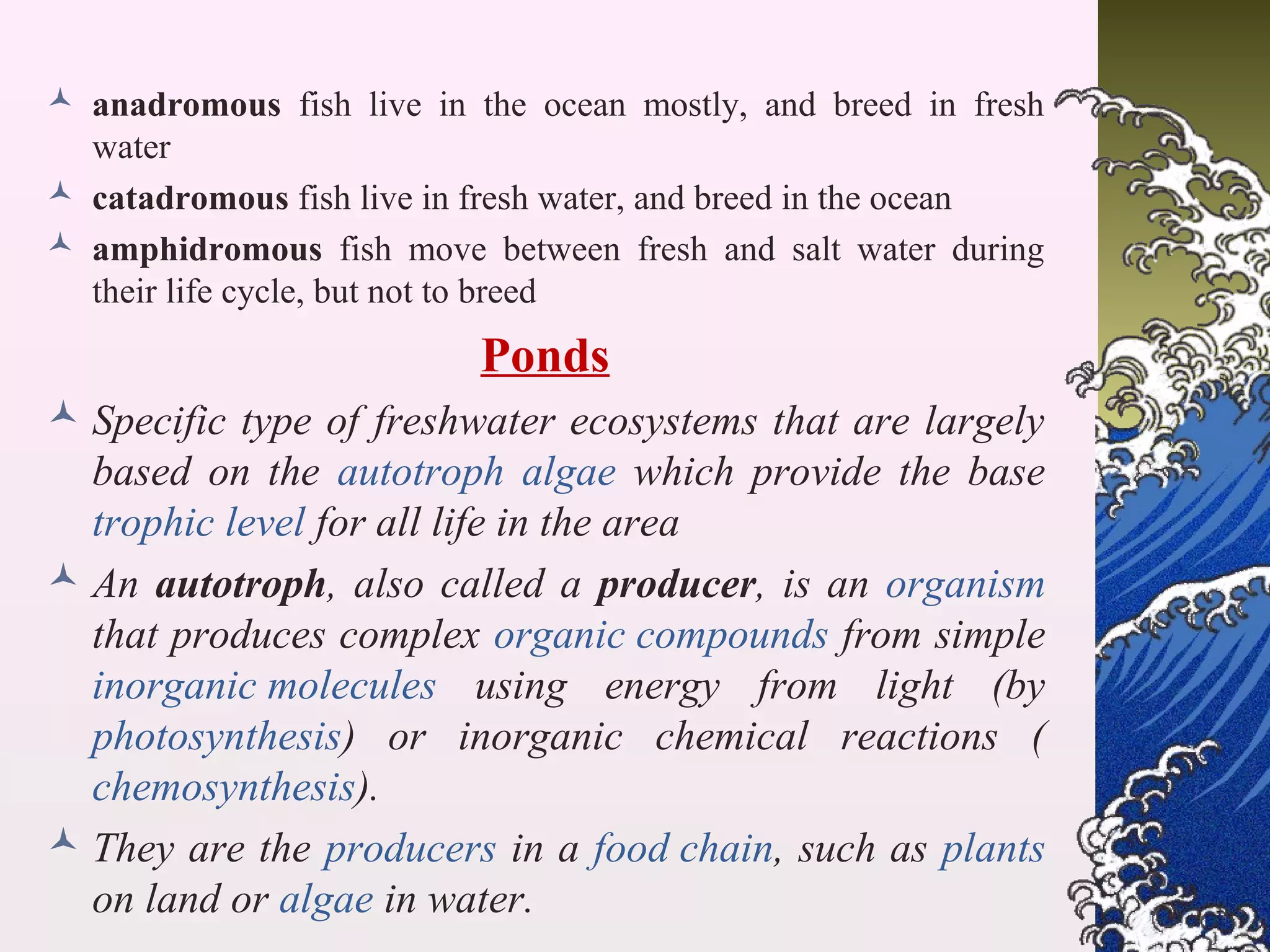 Marine Ecosystem | PPT